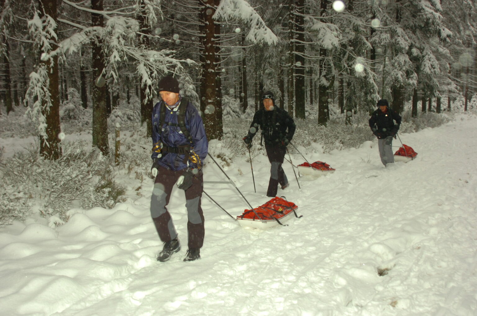The Ohm Trail – Ohm Trail